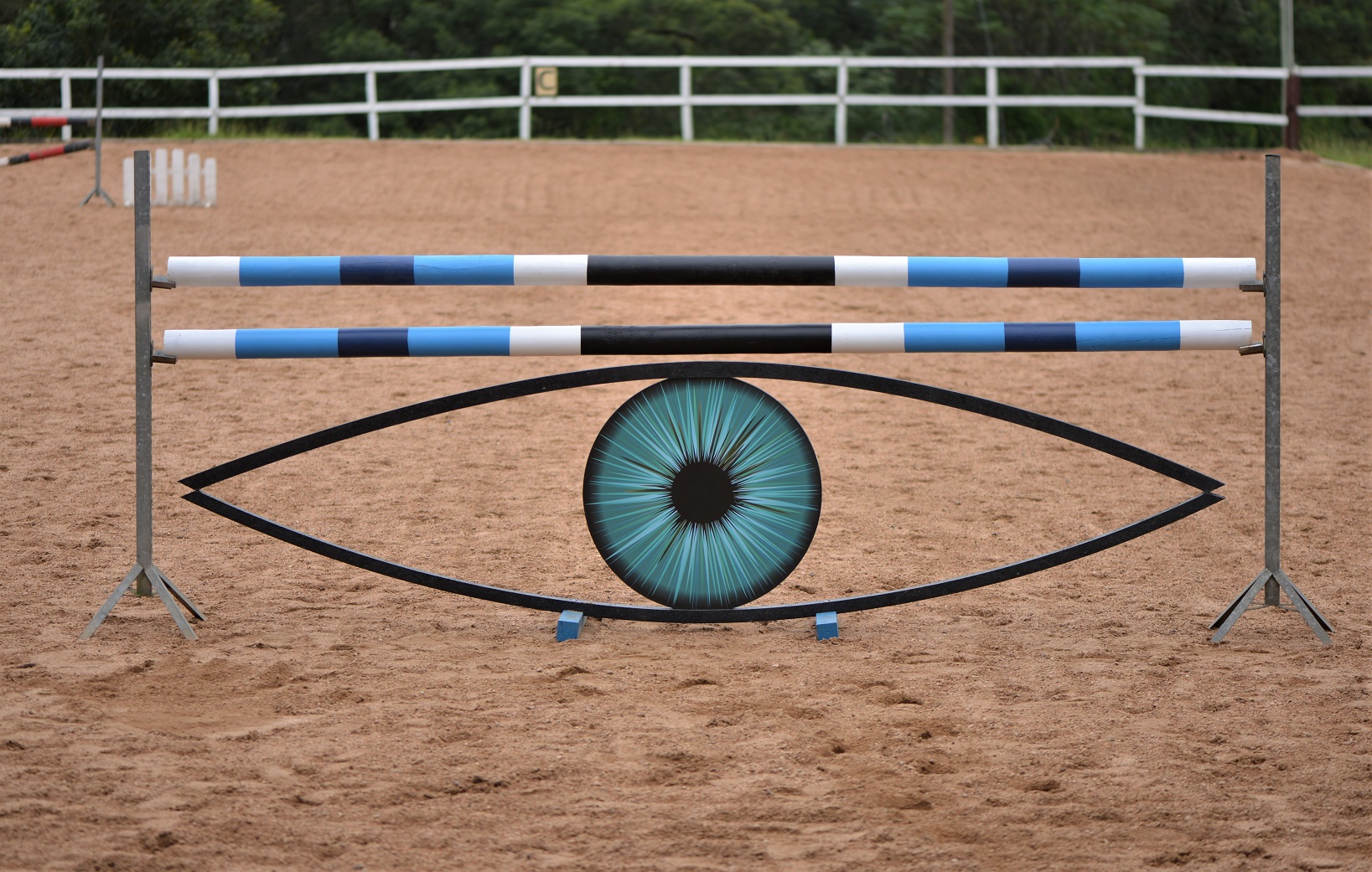 Wooden Fillers – Just Jump It Show Jumps