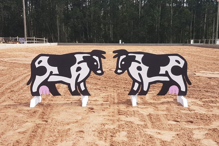 Cows – Just Jump It Show Jumps